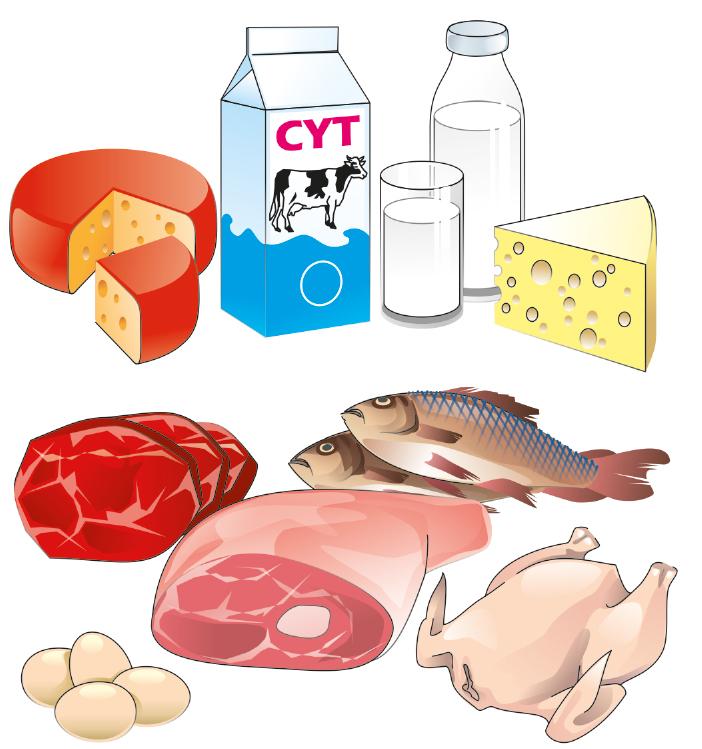 Food - Animal-Source Foods - 00B - Kyrgyz Republic | IYCF Image Bank